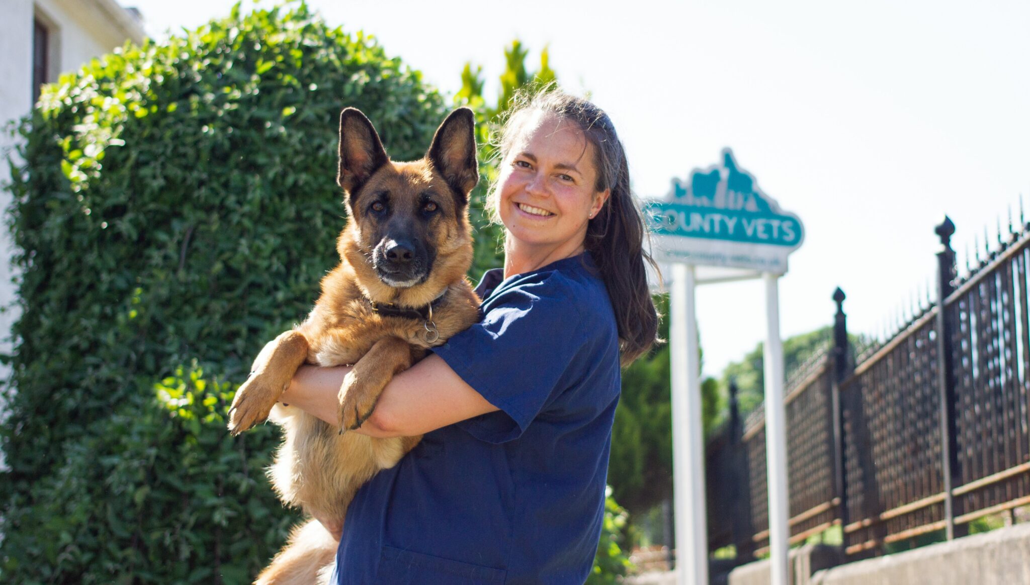 Vets – County Vets