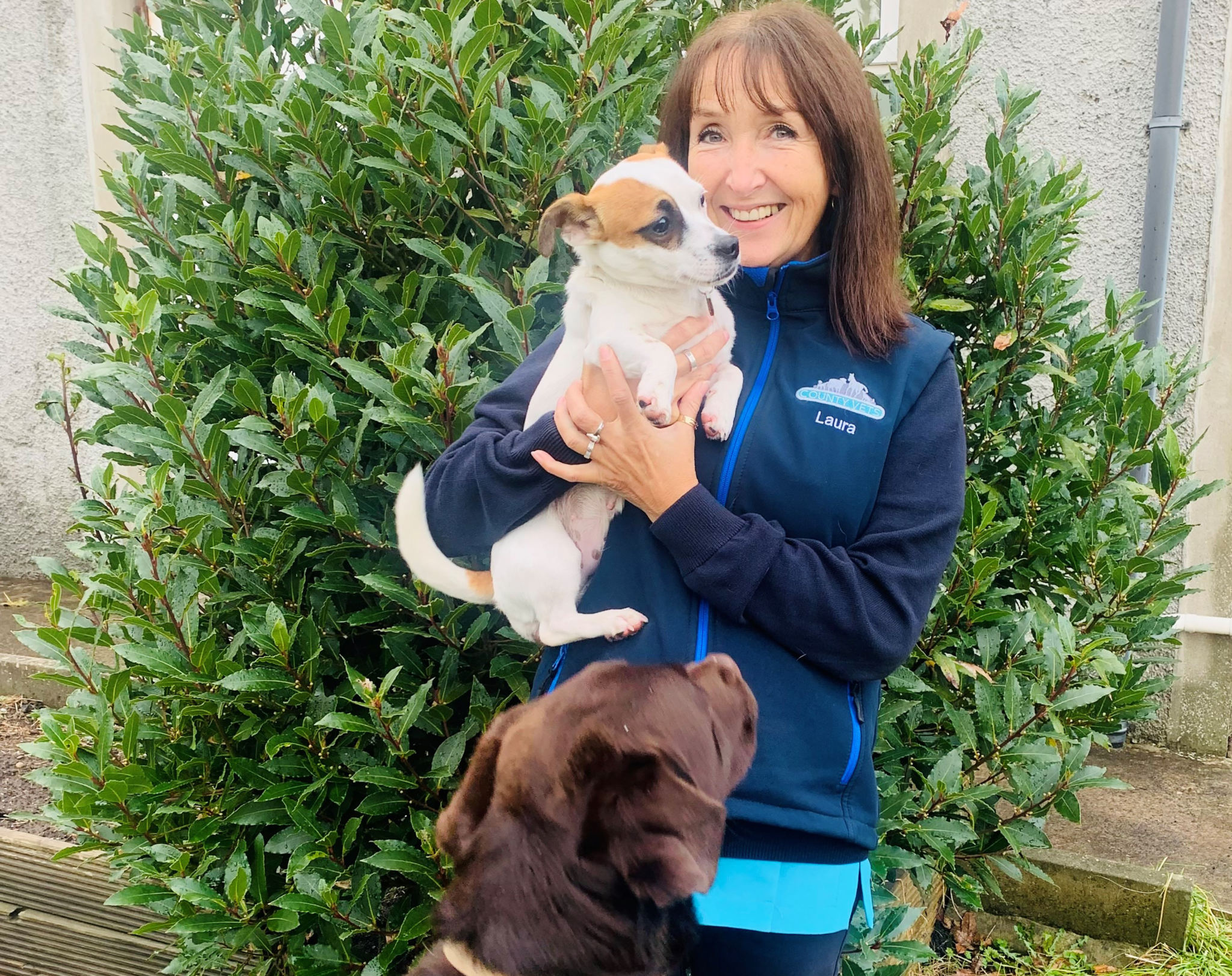 Laura – County Vets