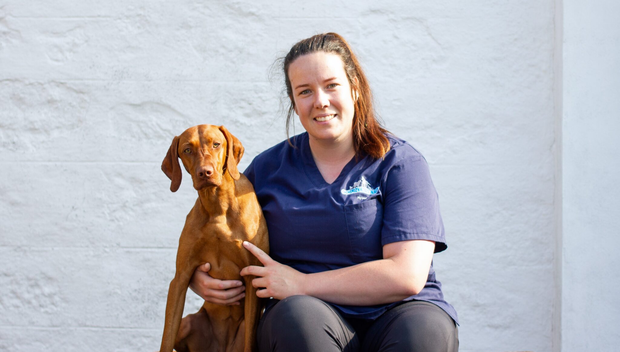 Nyomi – County Vets